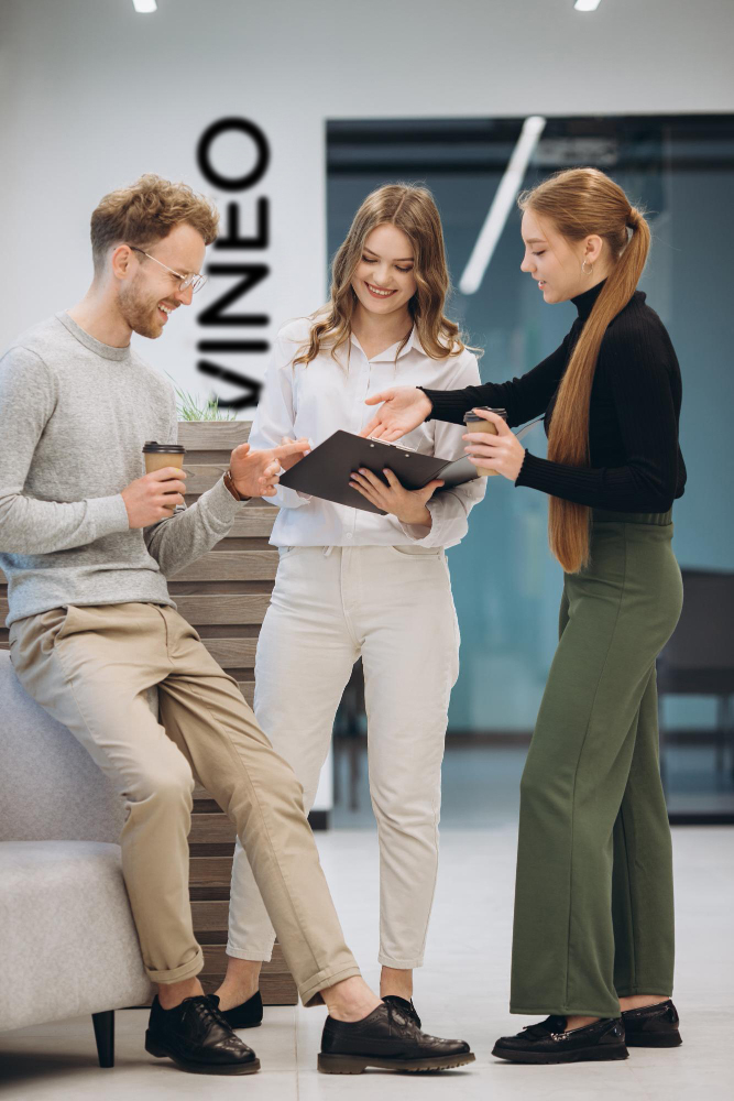 ViNeo - Your Partner in Finding Talent and Professional Opportunities